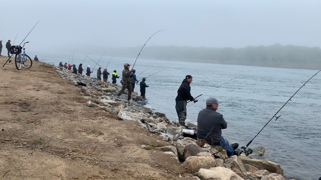 Fishing Cape Cod Canal Standing Shoulder to Shoulder - YouTube