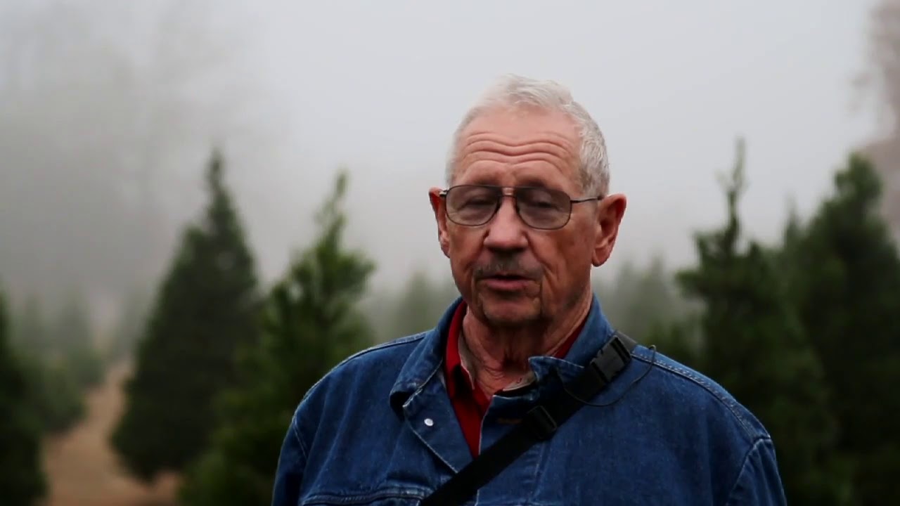 Christmas tree farming is 'a year-round job' for Oklahoma growers