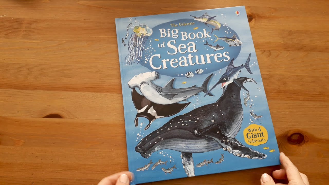 Big Book of Sea Creatures - Usborne - YouTube