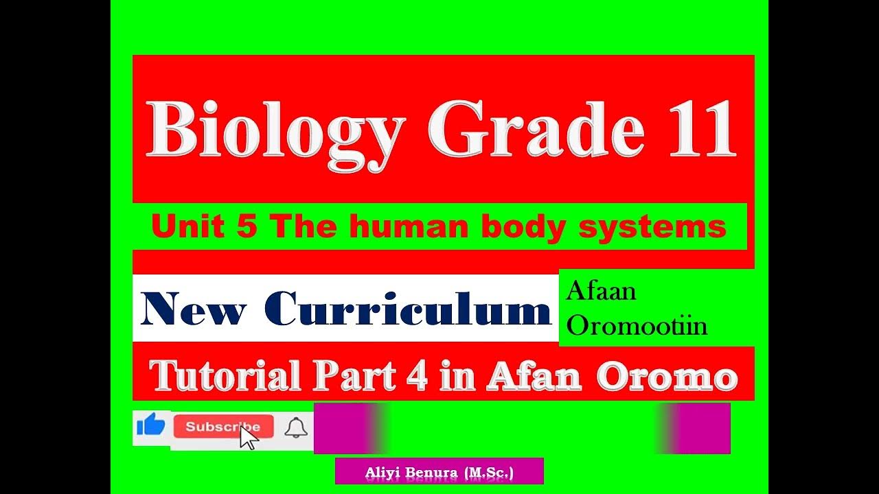 New Curriculum Biology Grade 11 Unit 5 The human body systems Tutorial part 4 in Afan Oromo ...