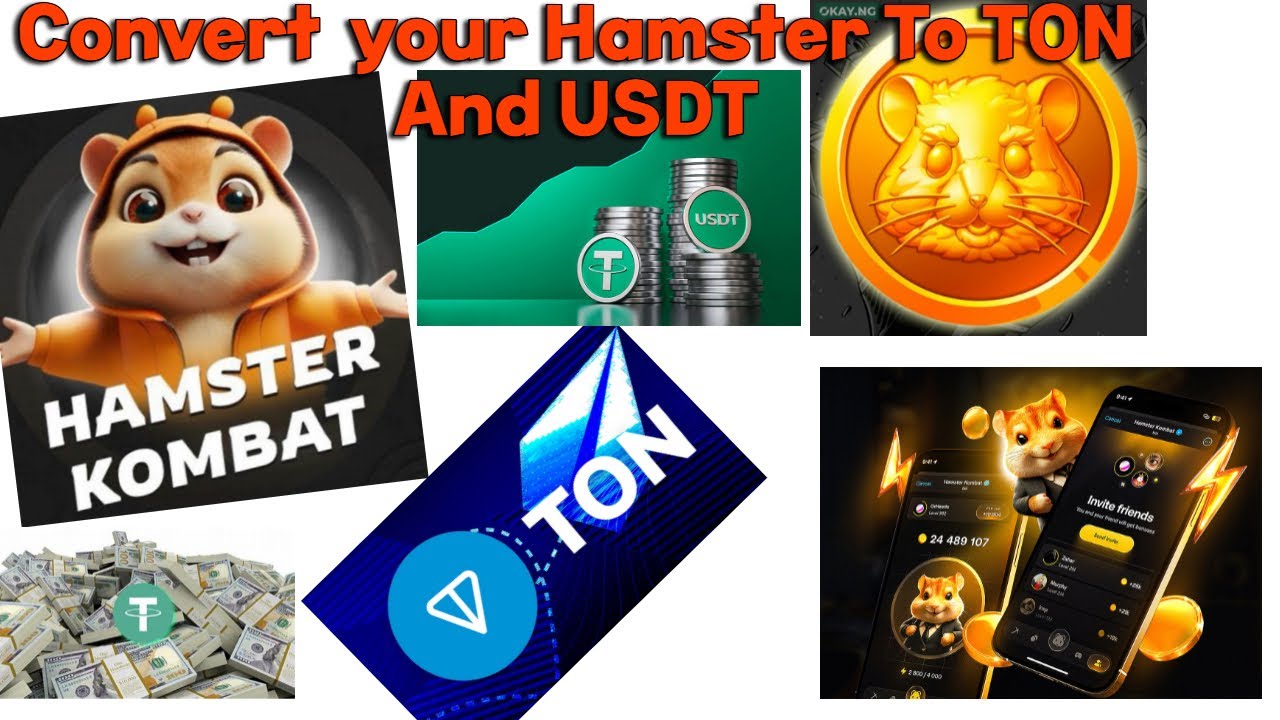 CONVERT HAMSTER TO TON OR UDST - YouTube
