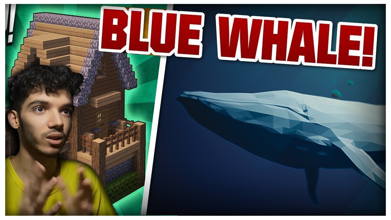 Balena Blu Di Minecraft