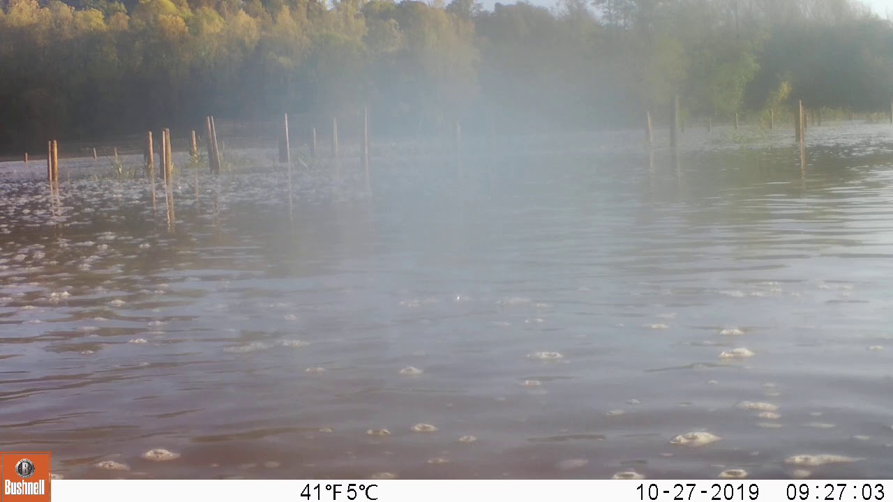 Flood at Bodenham Lake filmed by Bushnell trail camera - YouTube