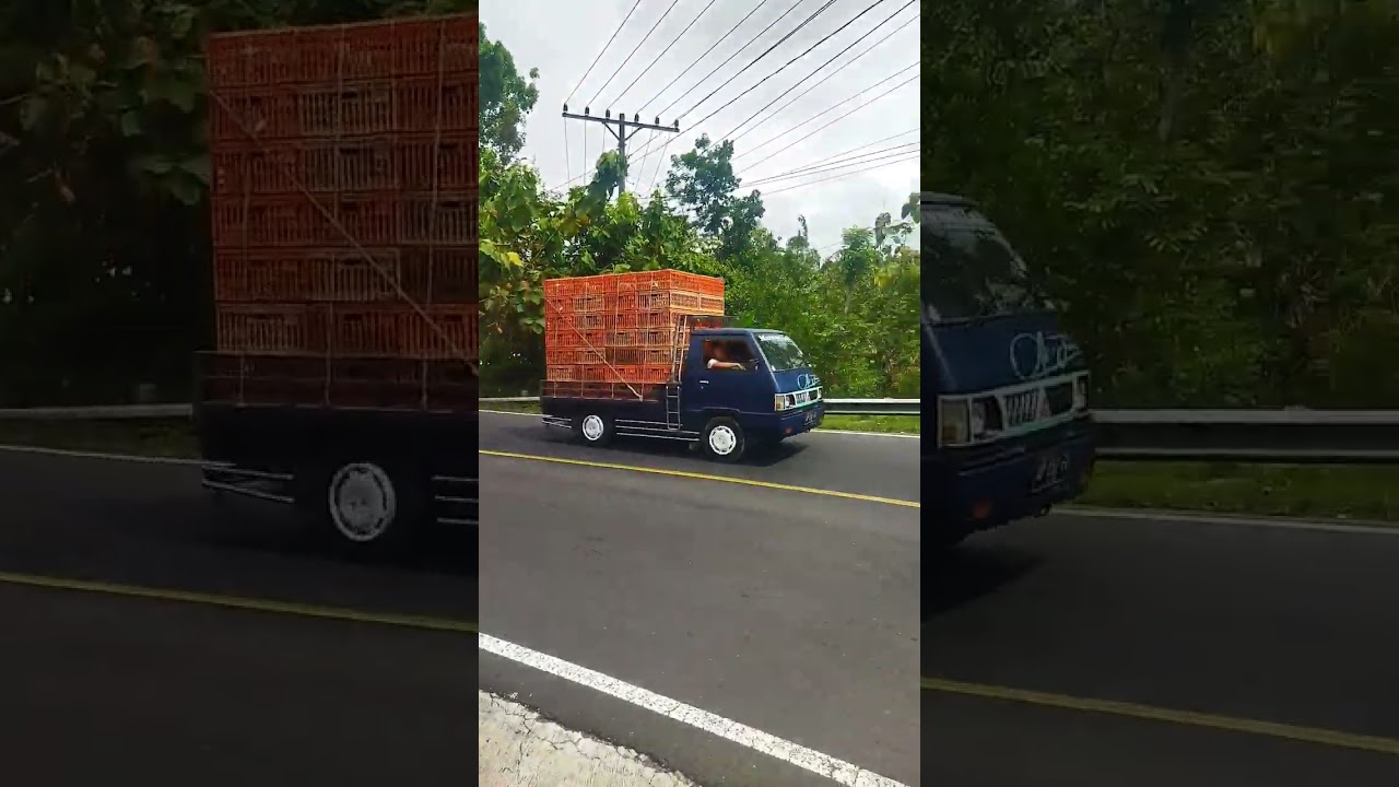 mobil ayam jam mepet #shorts - YouTube