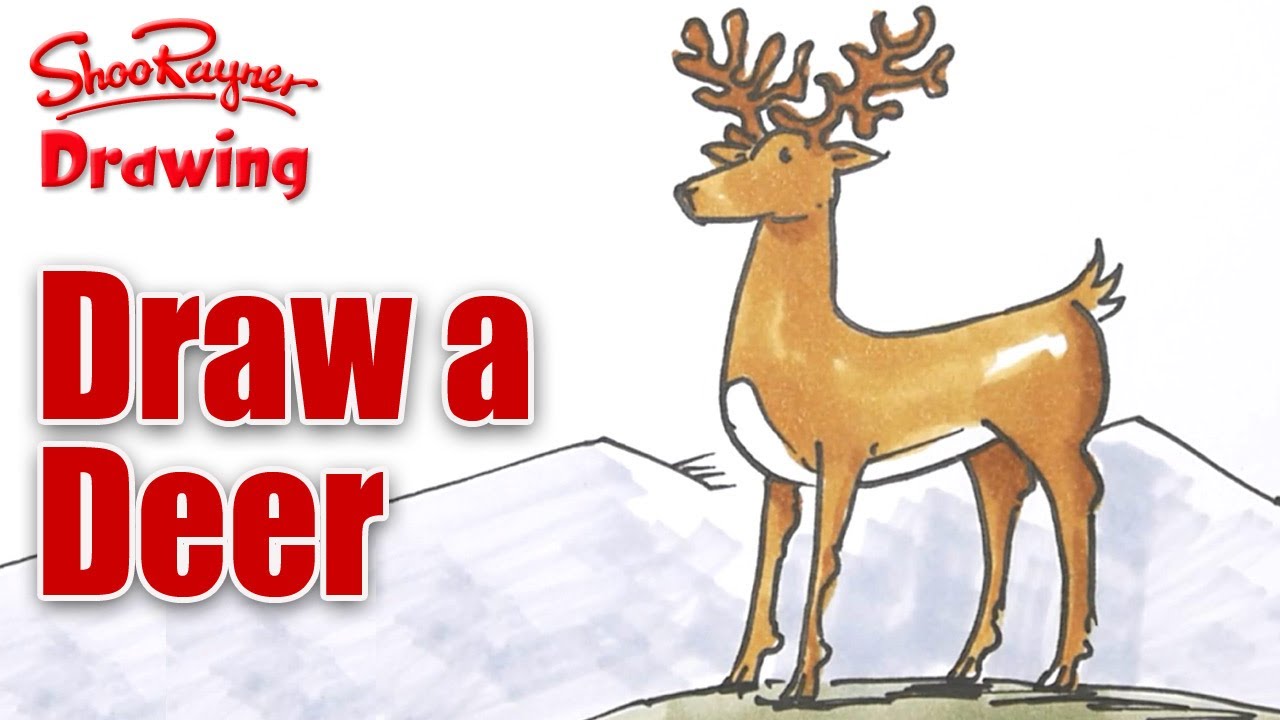How to draw A Deer - YouTube