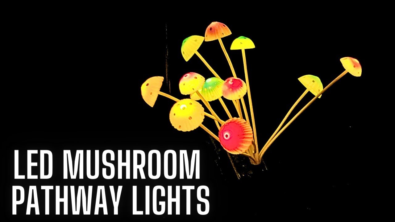 Mushroom LED Lights | Solar Mushroom Pathway Lights - YouTube