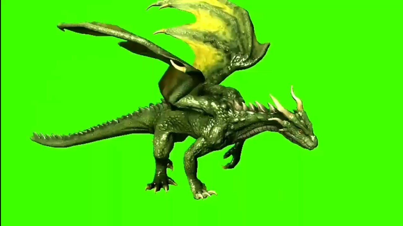 green screen dragon#dragon green screen no copyright - YouTube