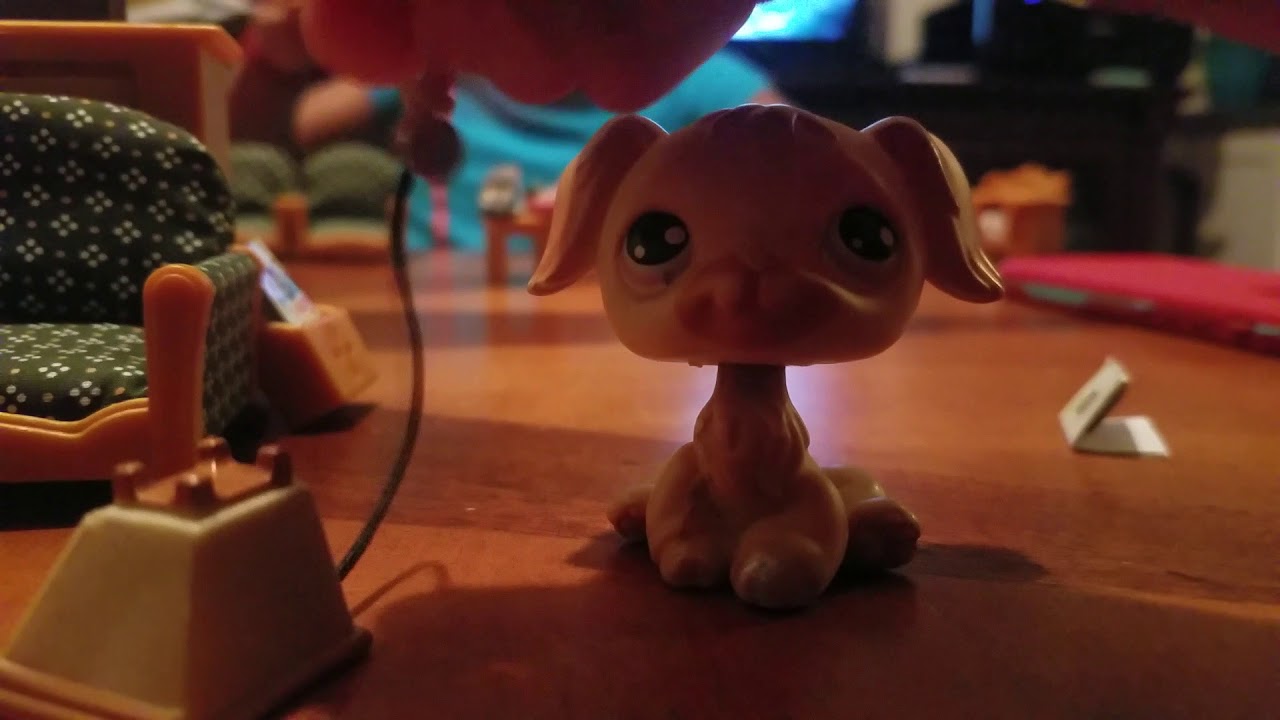 lps fun in the snow part 1 - YouTube