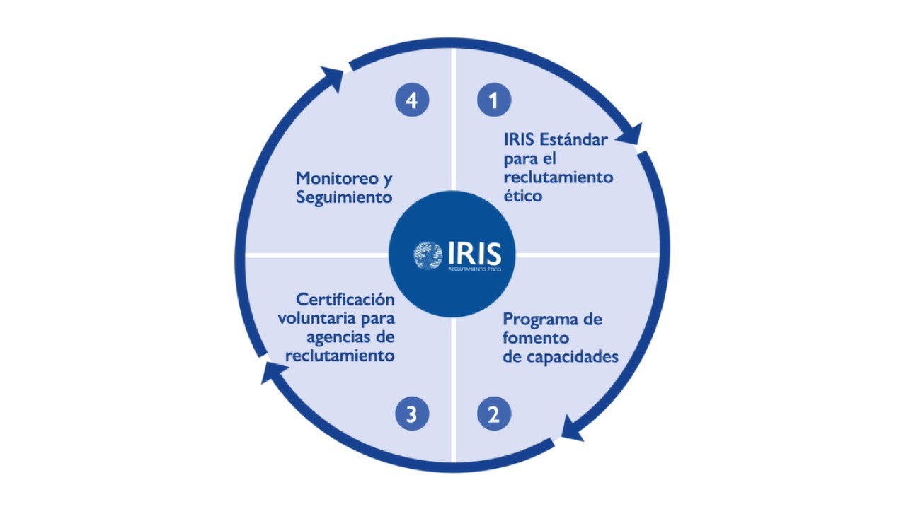 ¿Qué es IRIS? - YouTube
