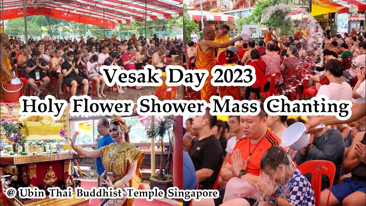 Holy Flower Shower Mass Chanting @ Ubin Thai Buddhist Temple, Vesak Day 2023 (3rd June 2023 ...