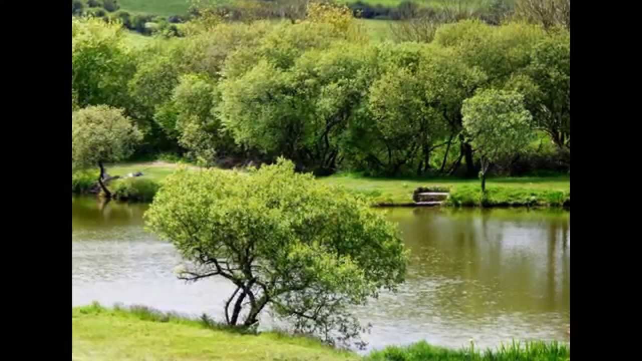 SPRING IS IN THE AIR AT NANCE FISHING LAKES - YouTube