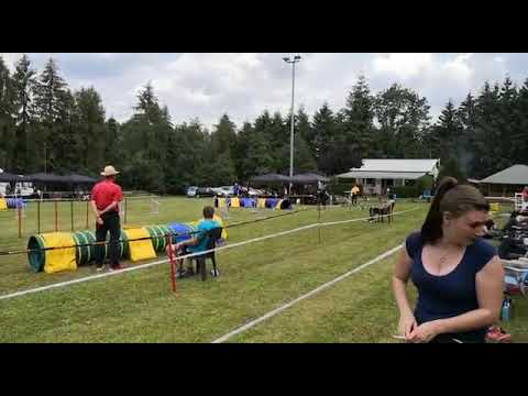 25.06.18 LM Agility Saarland 2018 Jacqueline Fuchs mit Ginger Jumping ...