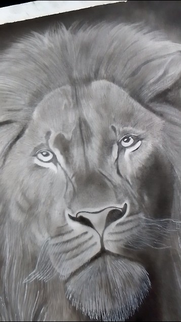 Sher art work and charcoal sketch portrait drawing realistic artwork ...