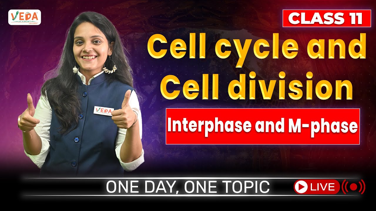 Interphase and M-phase | Cell cycle and Cell division | class 11 | Biology | One Day One Topic ...