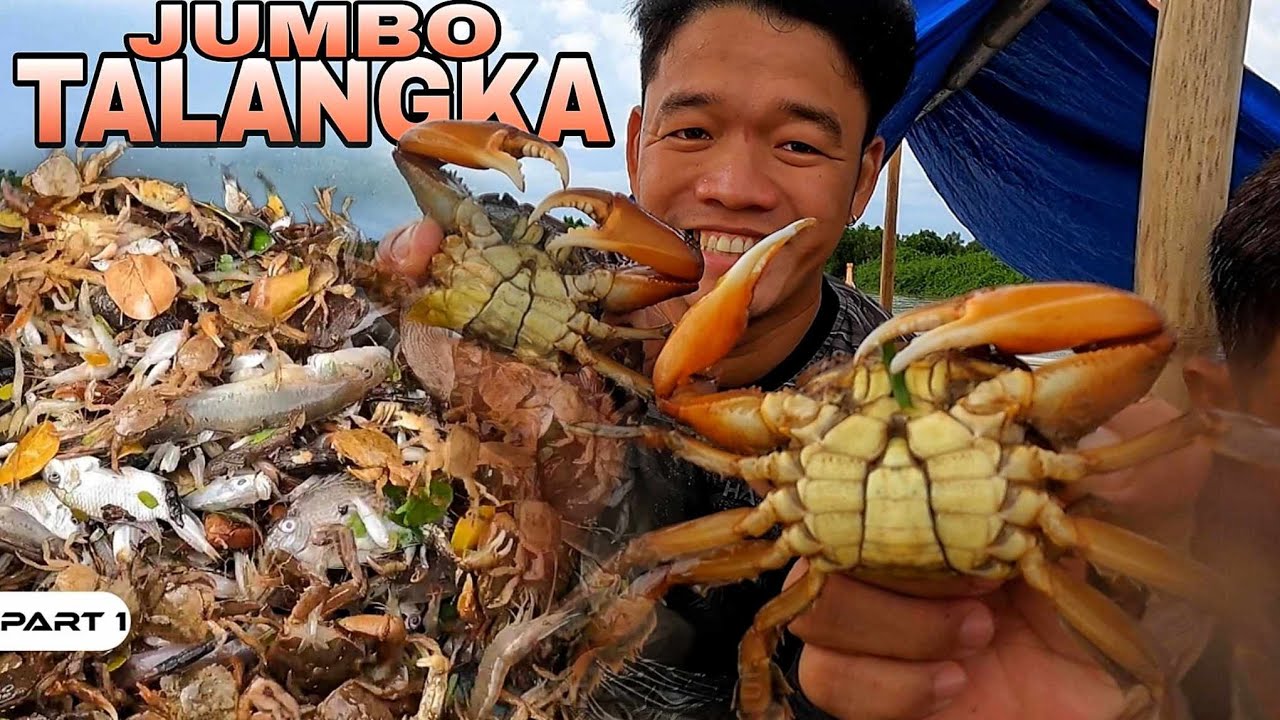 P1 - Jumbo Talangka - EP1477 - YouTube