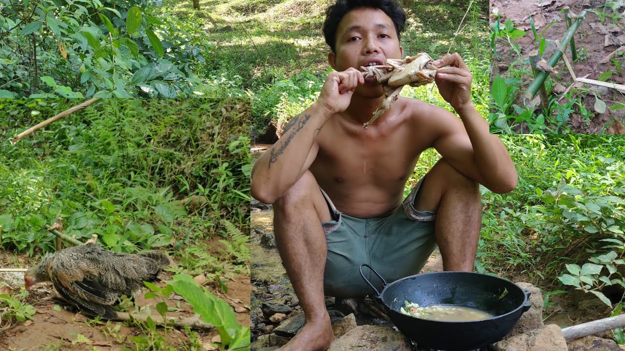 primitive trapping : how to Trap junglefowls/wild chicken in the ...