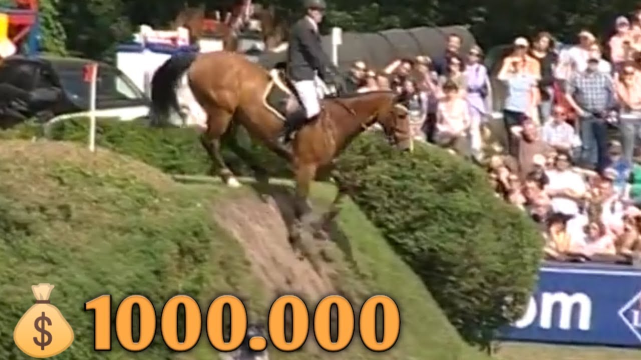 Kuda Polo Paling Kuat Dan Cerdas Di Negara Prancis - YouTube