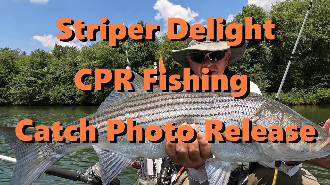 Striper Delight CPR Fishing - YouTube