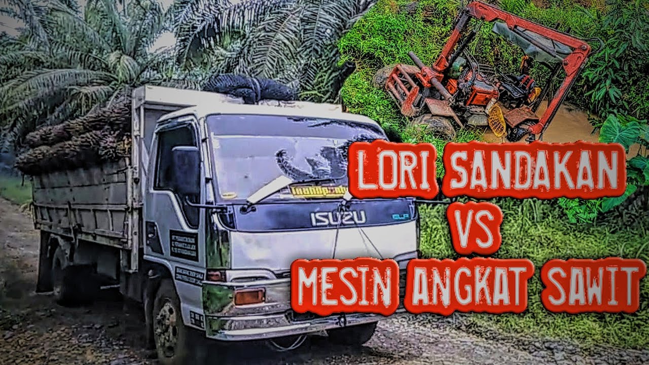 LORI SANDAKAN ‼️ KERJA DI LADANG SAWIT MENGGUNAKAN MESIN - YouTube