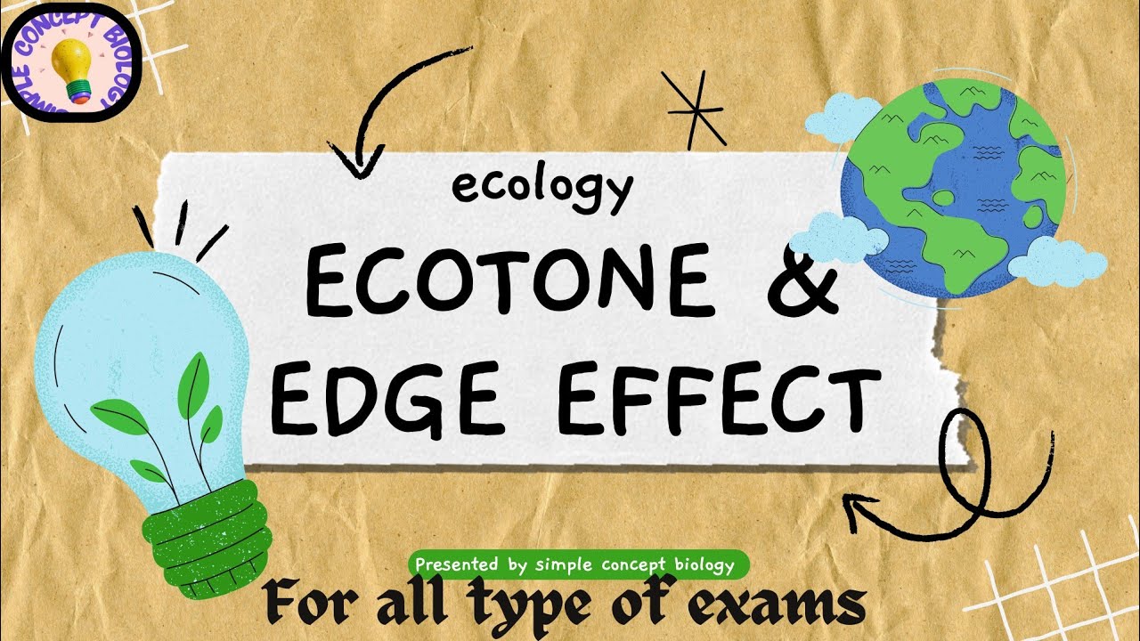 ecotone and edge effect || ecology || @simpleconceptbiology - YouTube