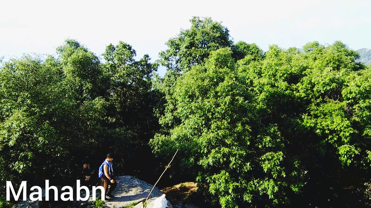 fb.com/Utla Gadoon Forum_ Mahaban - YouTube