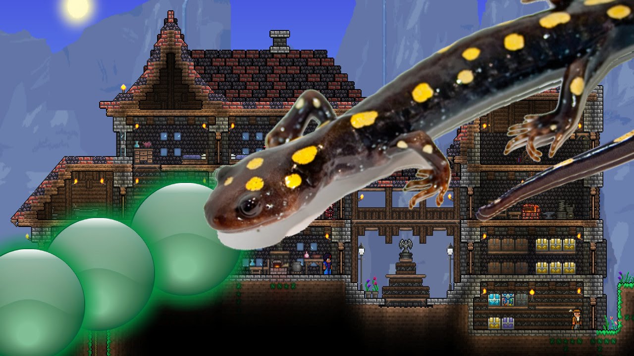 SALAMANDER!! | Terraria 1.3 Update | Part / Episode 18 - YouTube