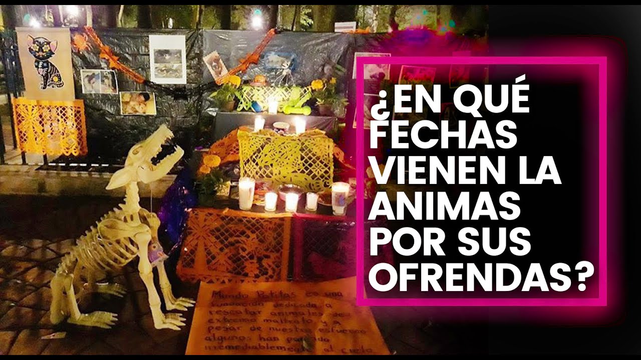 ¿En qué fechas vienen la animas por sus ofrendas? Checa los días - YouTube