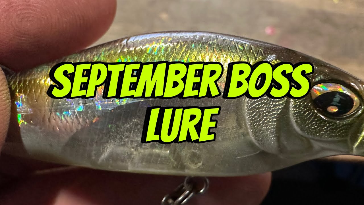 One Of The Best September Bass Catching Lures Ever Made… - YouTube