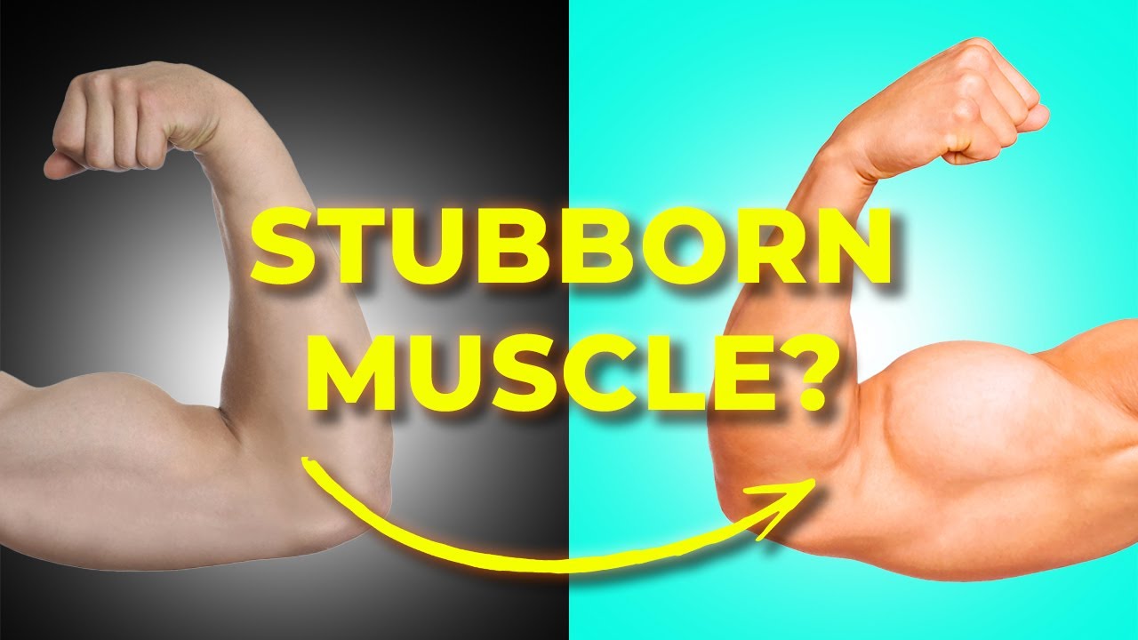 How to MAXIMIZE Muscle Growth In The Gym (FAST!) - YouTube