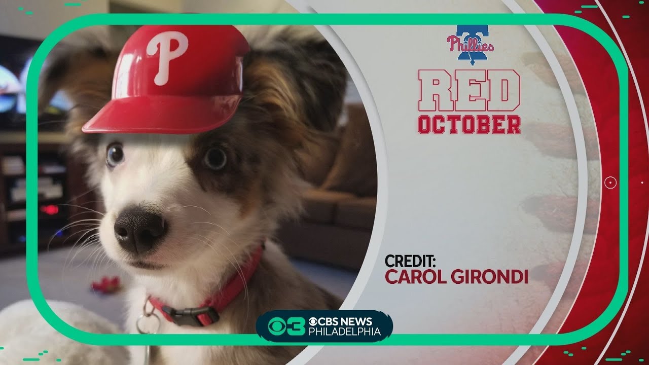 Phillies fans get their pets ready for Red October - YouTube
