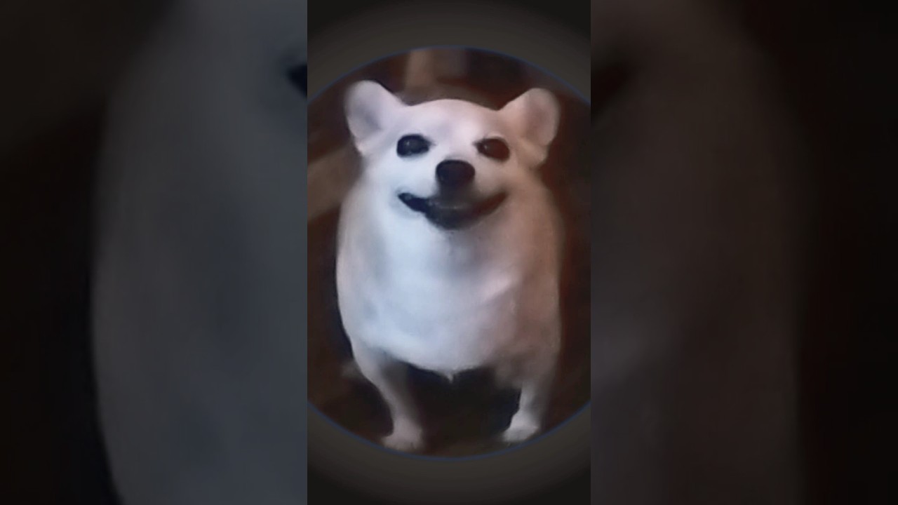 CHIWAWA - YouTube