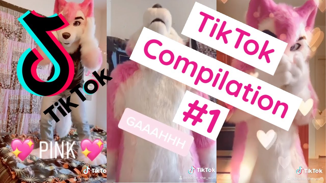 Fursuit TikTok Compilation | Charlie - YouTube
