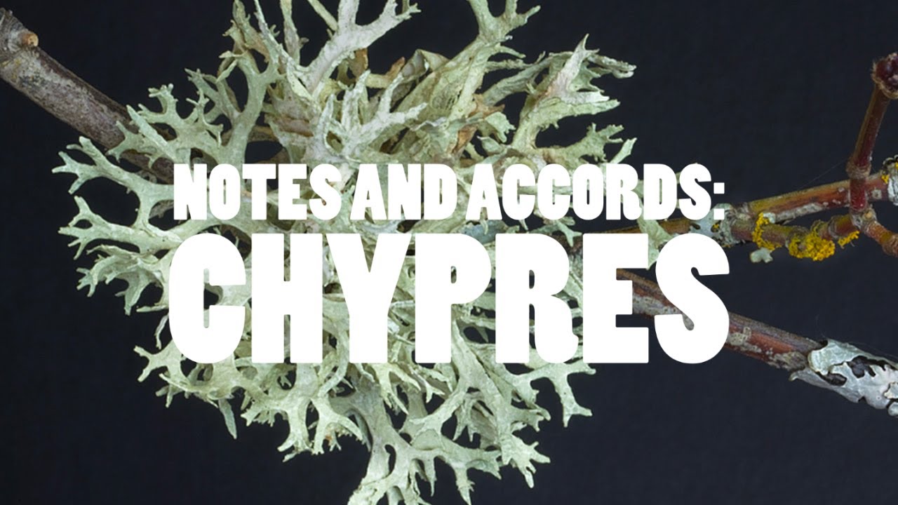 NOTES AND ACCORDS: CHYPRES - YouTube