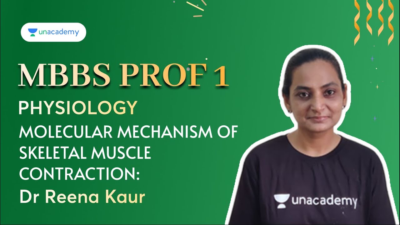 MBBS Prof 1 | Molecular mechanism of skeletal muscle contraction ...