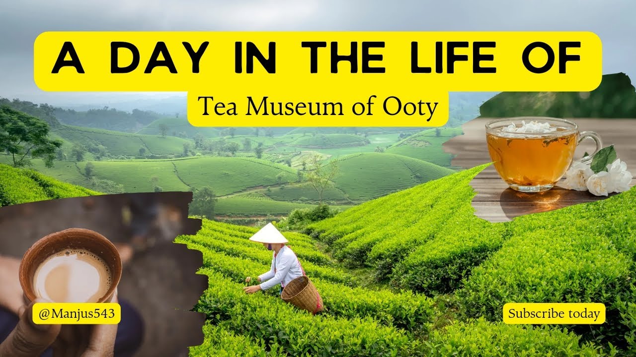 Ooty Tea Museum| Tea Factory Best Tea and Experience Ever | History ...