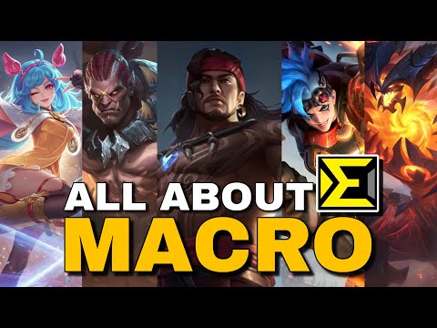 The Only EXP Macro Guide You Need