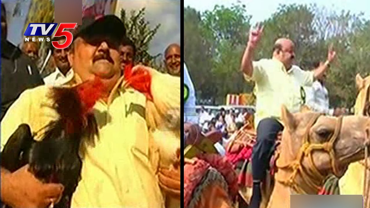 Eluru MP Maganti Venkateswara Rao Starts Rooster Fights | Sankranti ...