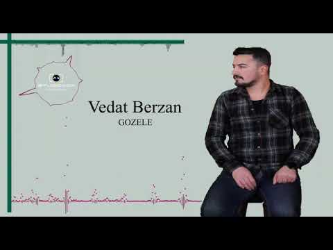 Vedat berzan 2022 yeni  potpori hücum kayıt sizlerle   Gozéle #keşfet #fyp #halaylar #van