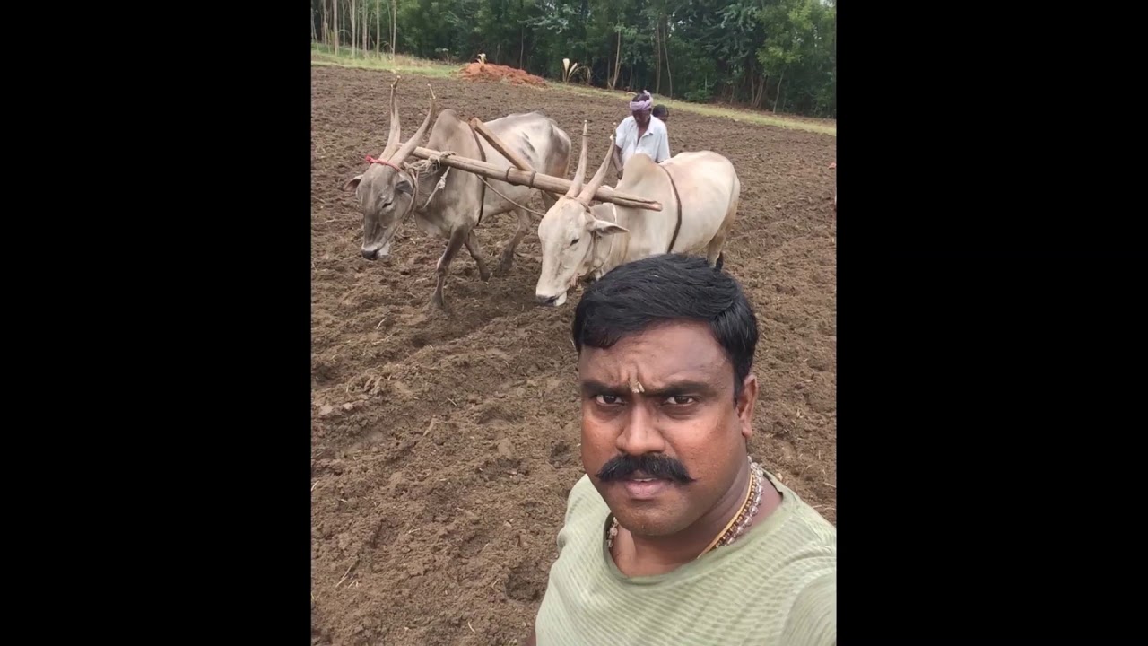 Evloution of Ooruni - YouTube