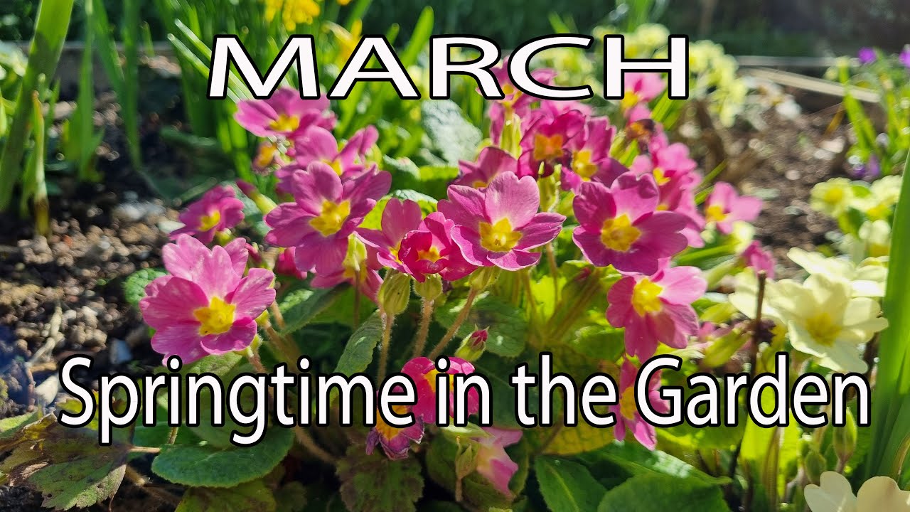 March - Springtime Begins - YouTube