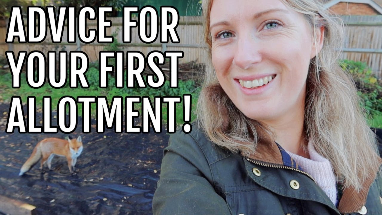 ADVICE FOR YOUR FIRST ALLOTMENT PLOT / ALLOTMENT GARDENING FOR ...