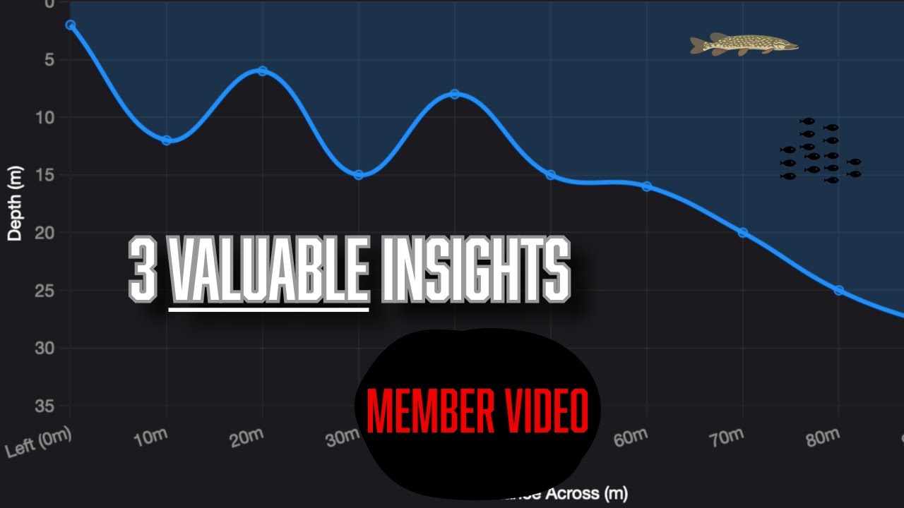 Member Video 3 VALUABLE Insights - YouTube
