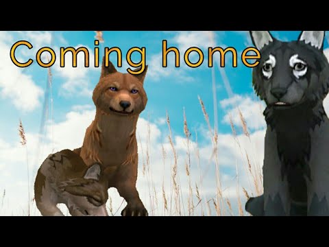 Wildcraft: |||coming home||| Mv A story about a pup with no mother ...