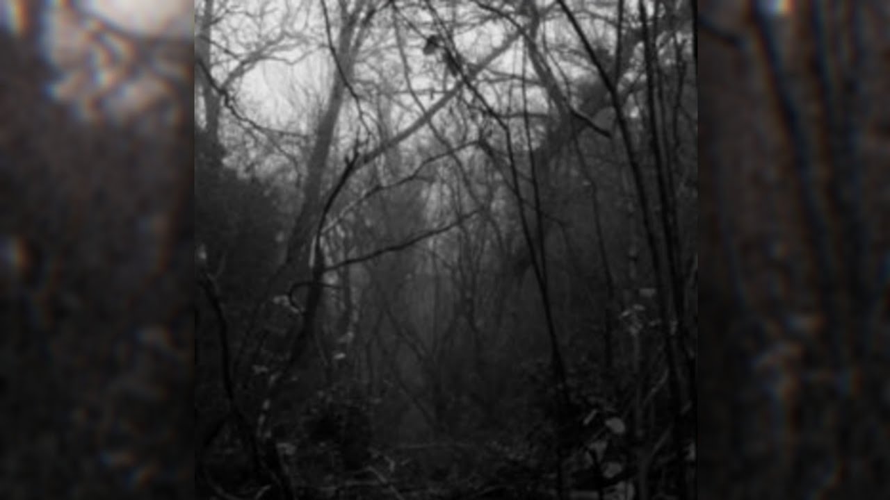 dexndre - will you walk with me here (SLOWED) - YouTube