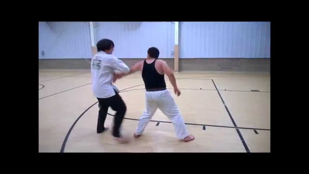 Shaolin Luohan Quan (罗汉 拳) Kung Fu applications - YouTube