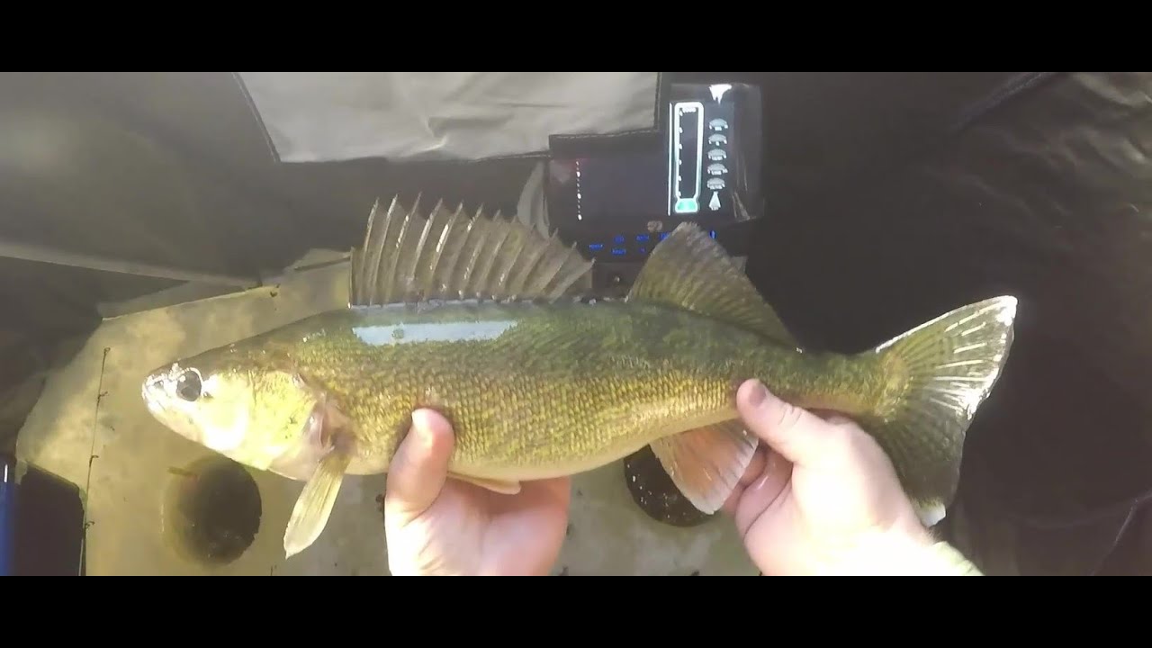 Red Lake Ice Fishing November 2019 - YouTube