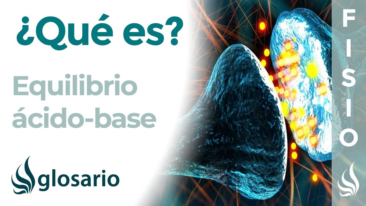EQUILIBRIO ÁCIDO-BASE | Qué es, qué órganos intervienen, cómo se ...
