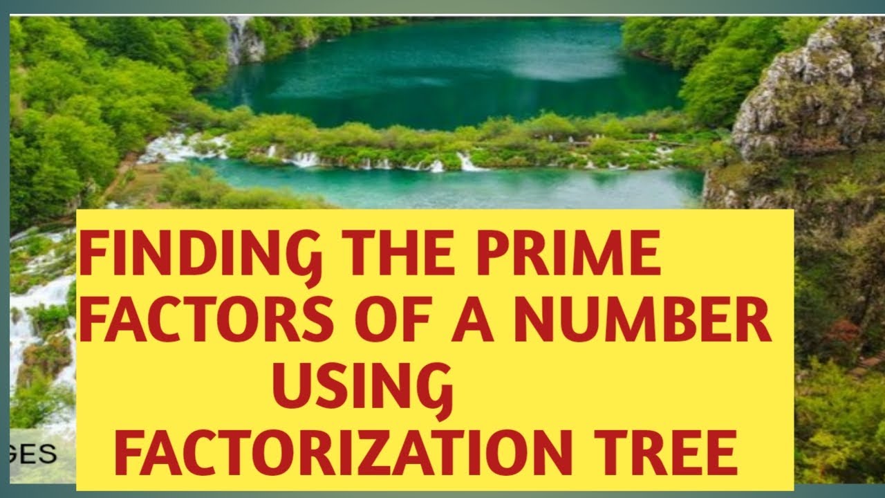 finding-the-prime-factors-of-a-number-youtube