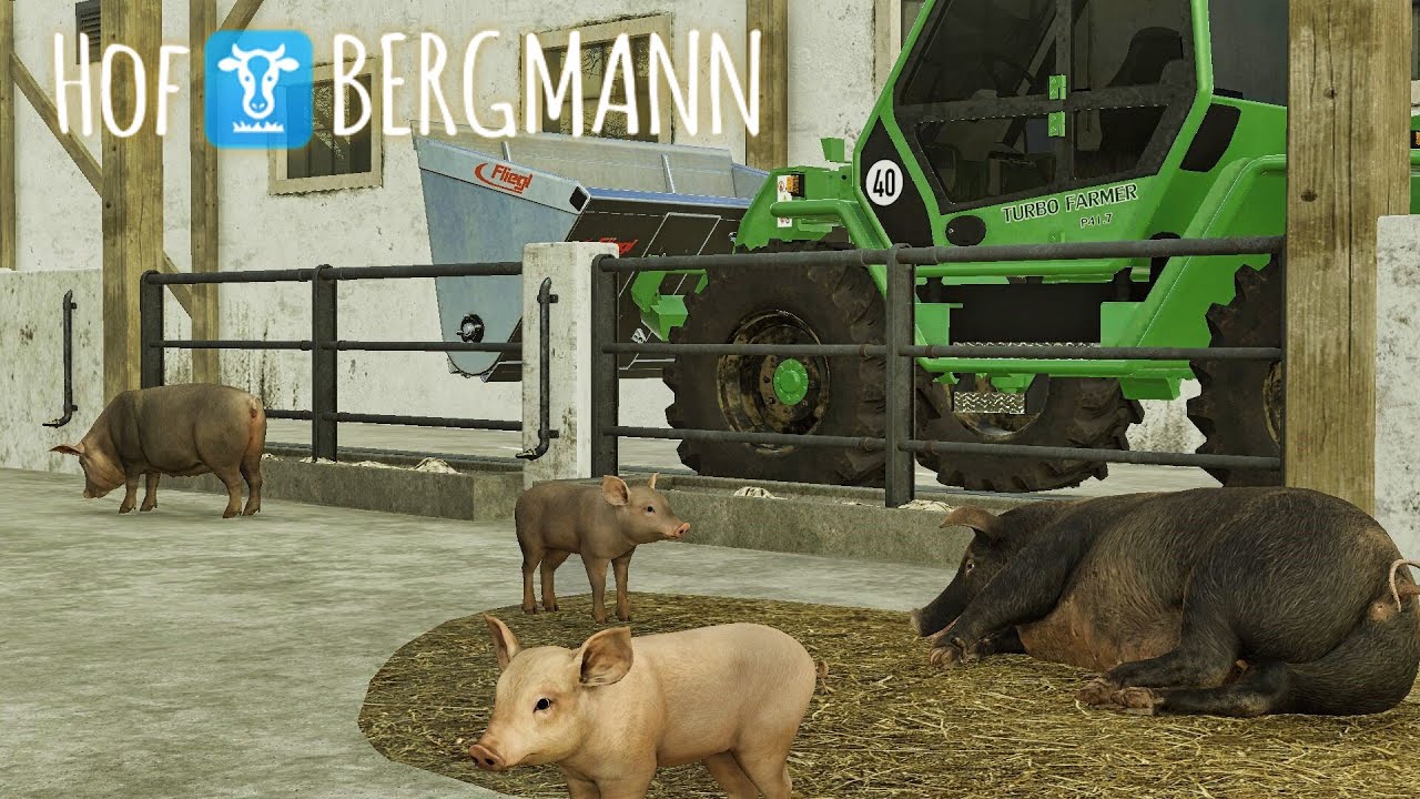 LS22 | HOF BERGMANN #54 - Die ersten SCHWEINE sind da - Farming ...