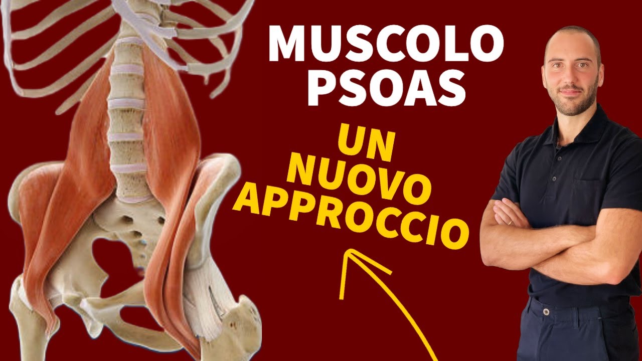 Psoas Il Muscolo Meno Compreso Per La Schiena + 1 Esercizio Perfetto ...